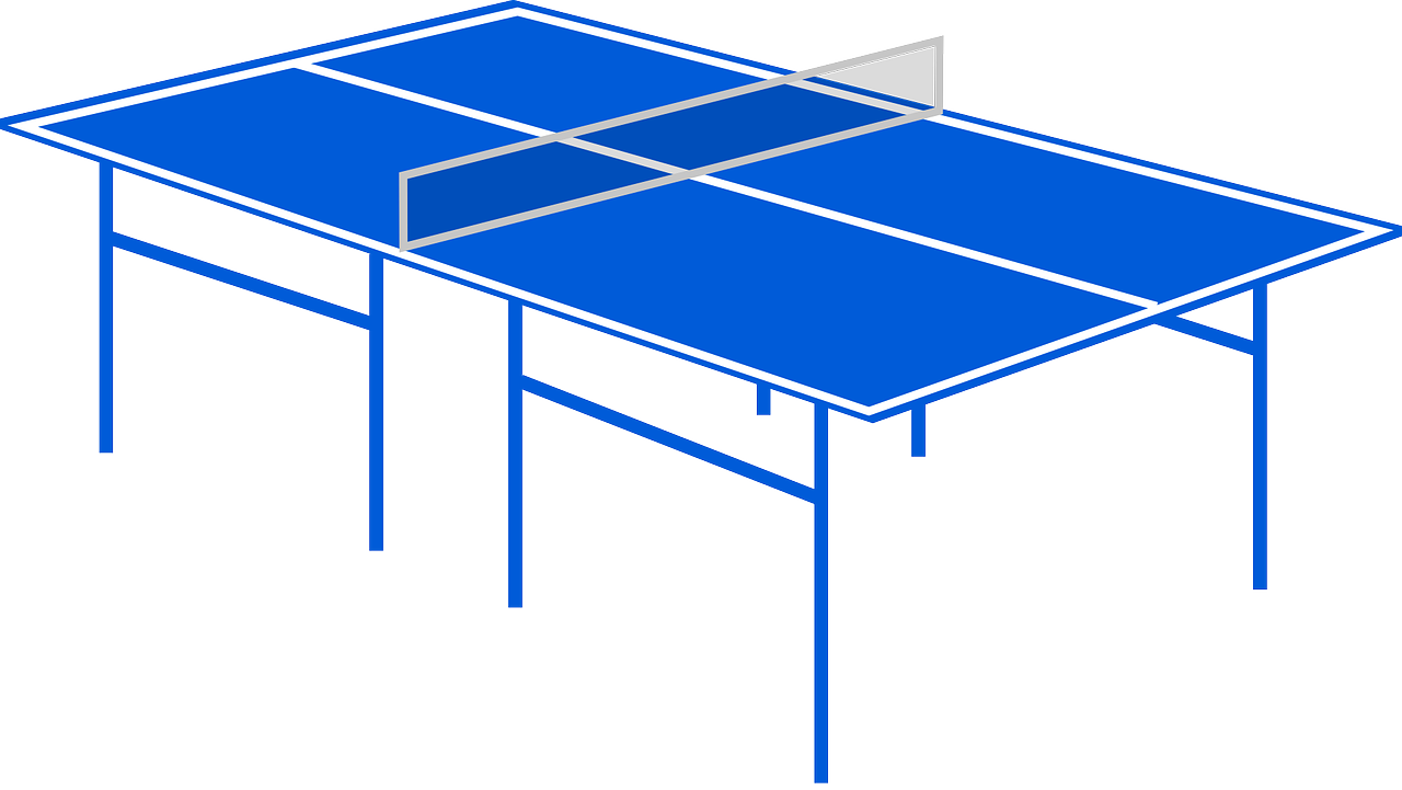 Joola Rally TL Professional Grade Table Review 2023 You Will Love To See